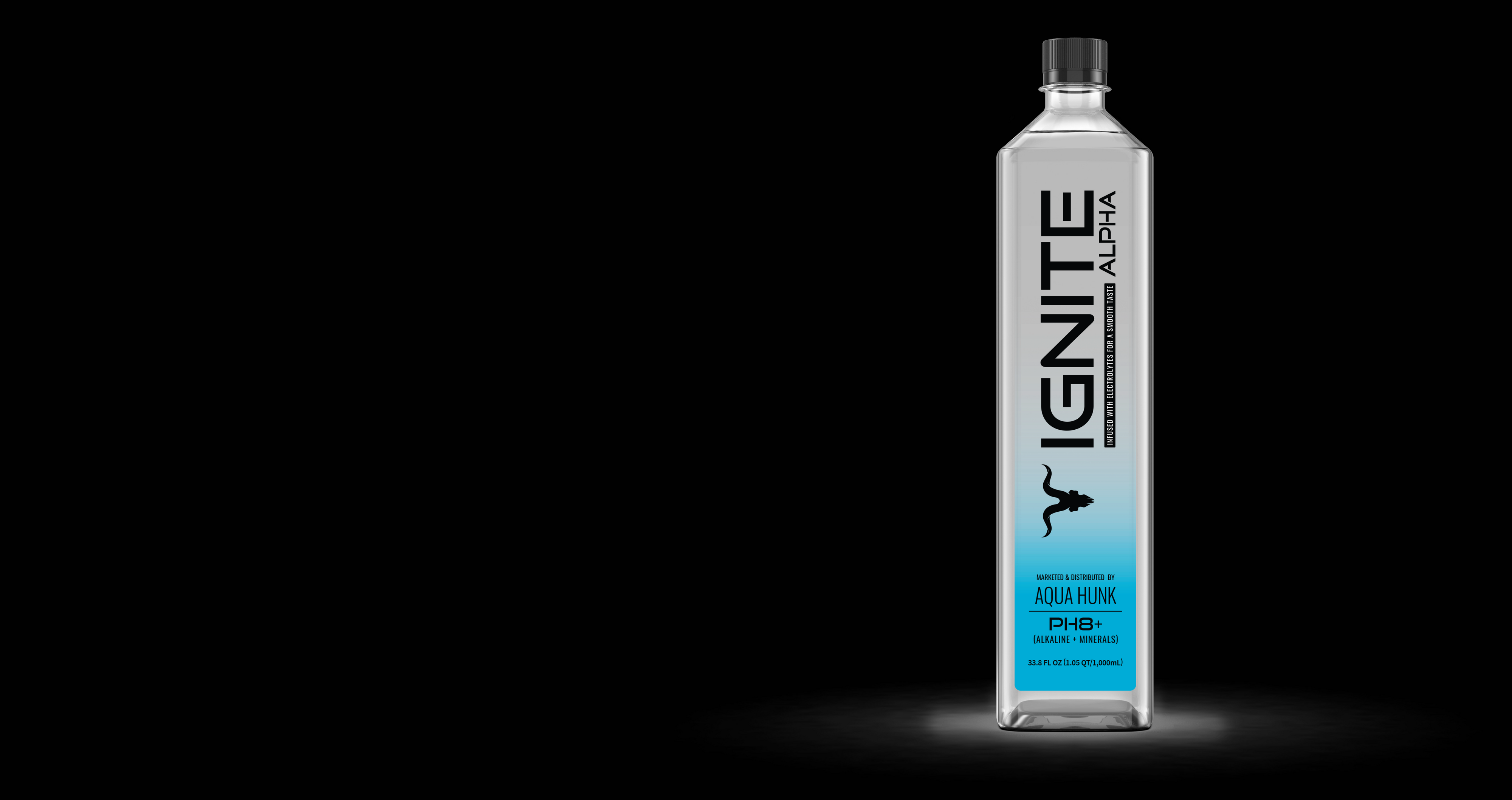Ignite India